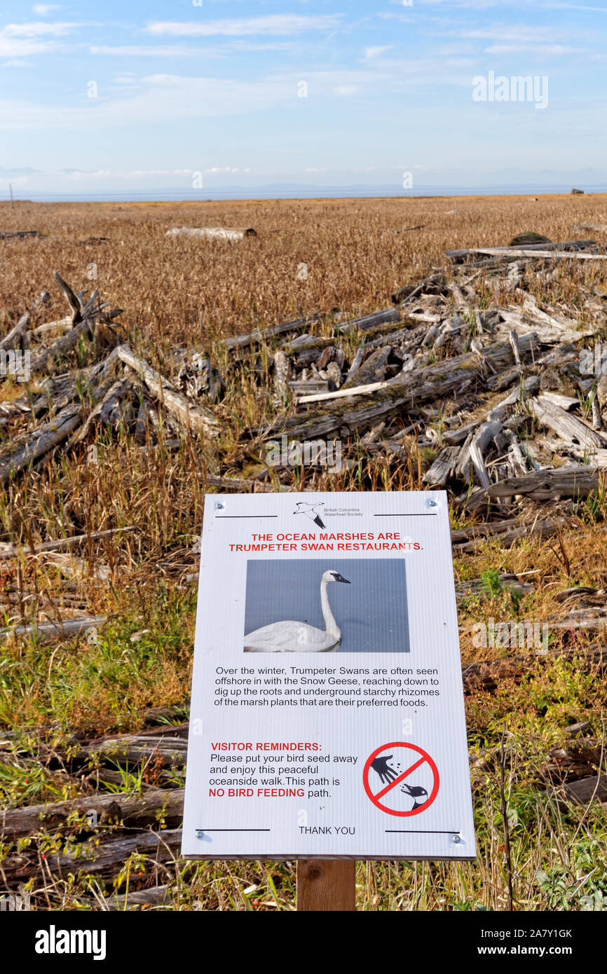 Trumpeter Swan interpretive sign and marshes at the George C. Reifel ...