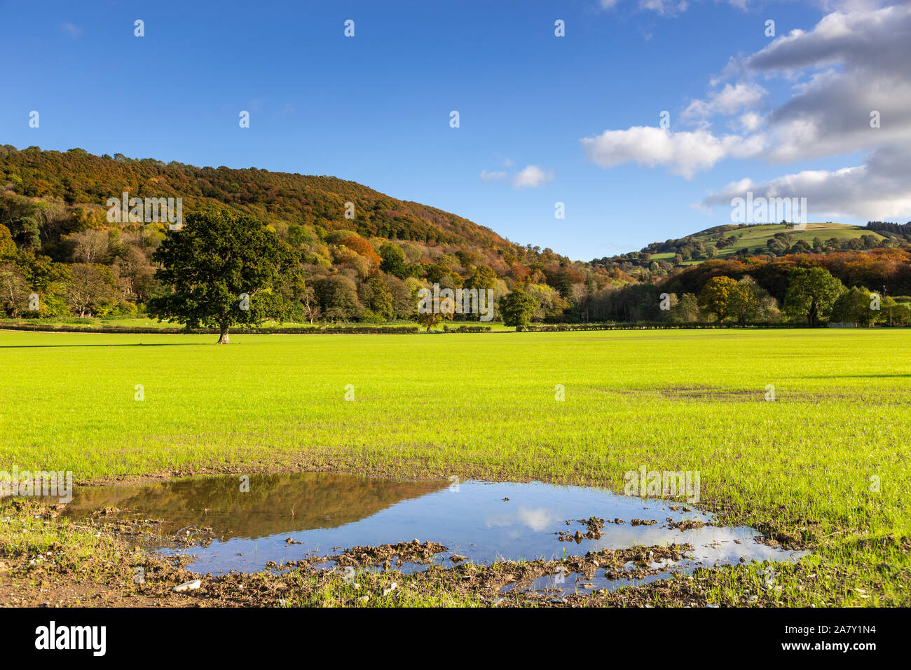 Waterlogged field near Llanwrst, North Wales Stock Photo - Alamy
