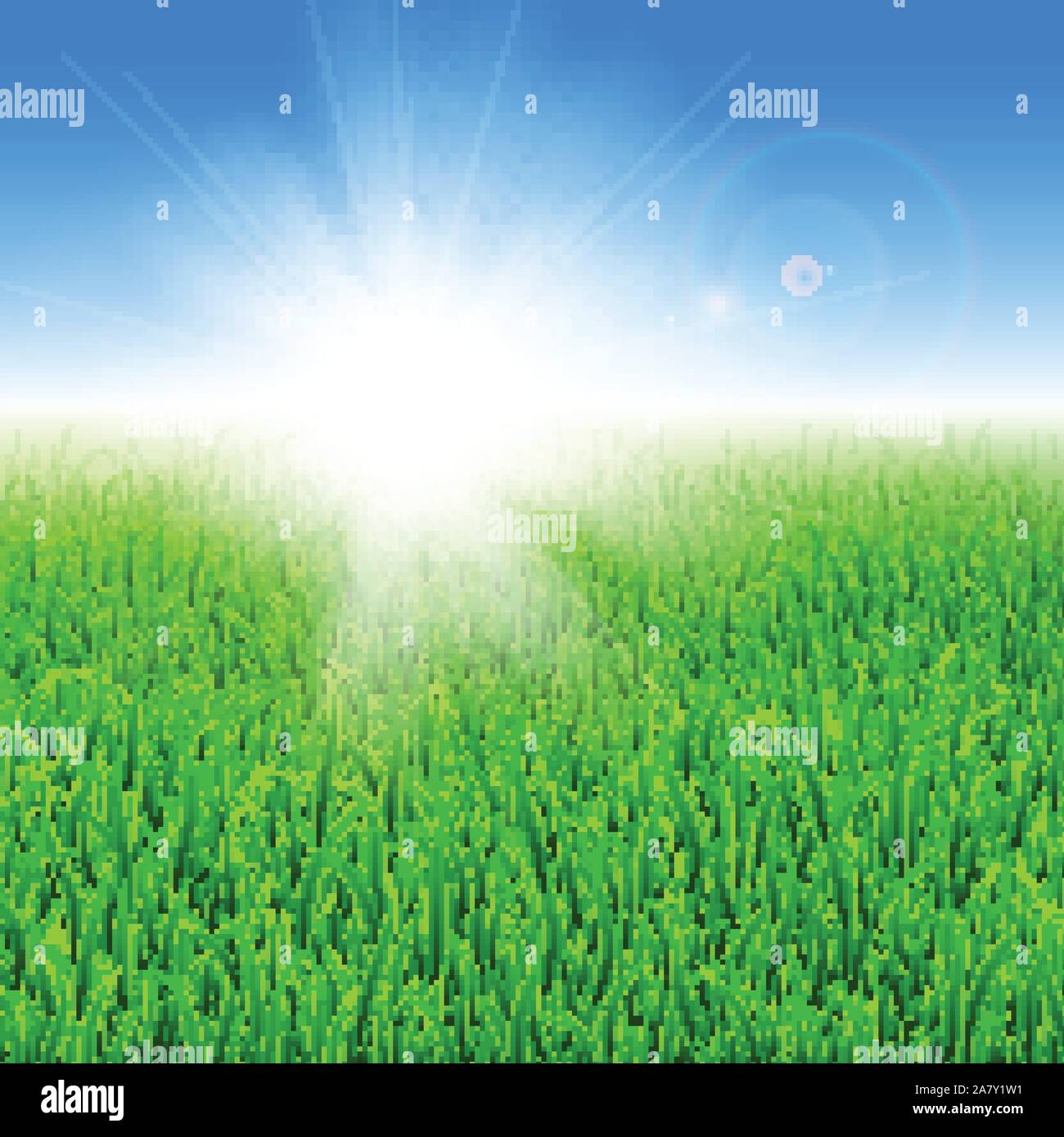 Green grass under the sun Stock Vector Image & Art - Alamy
