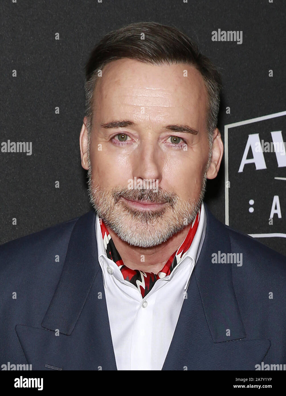 Beverly Hills, California - Nov 03, 2019: David Furnish attends the ...