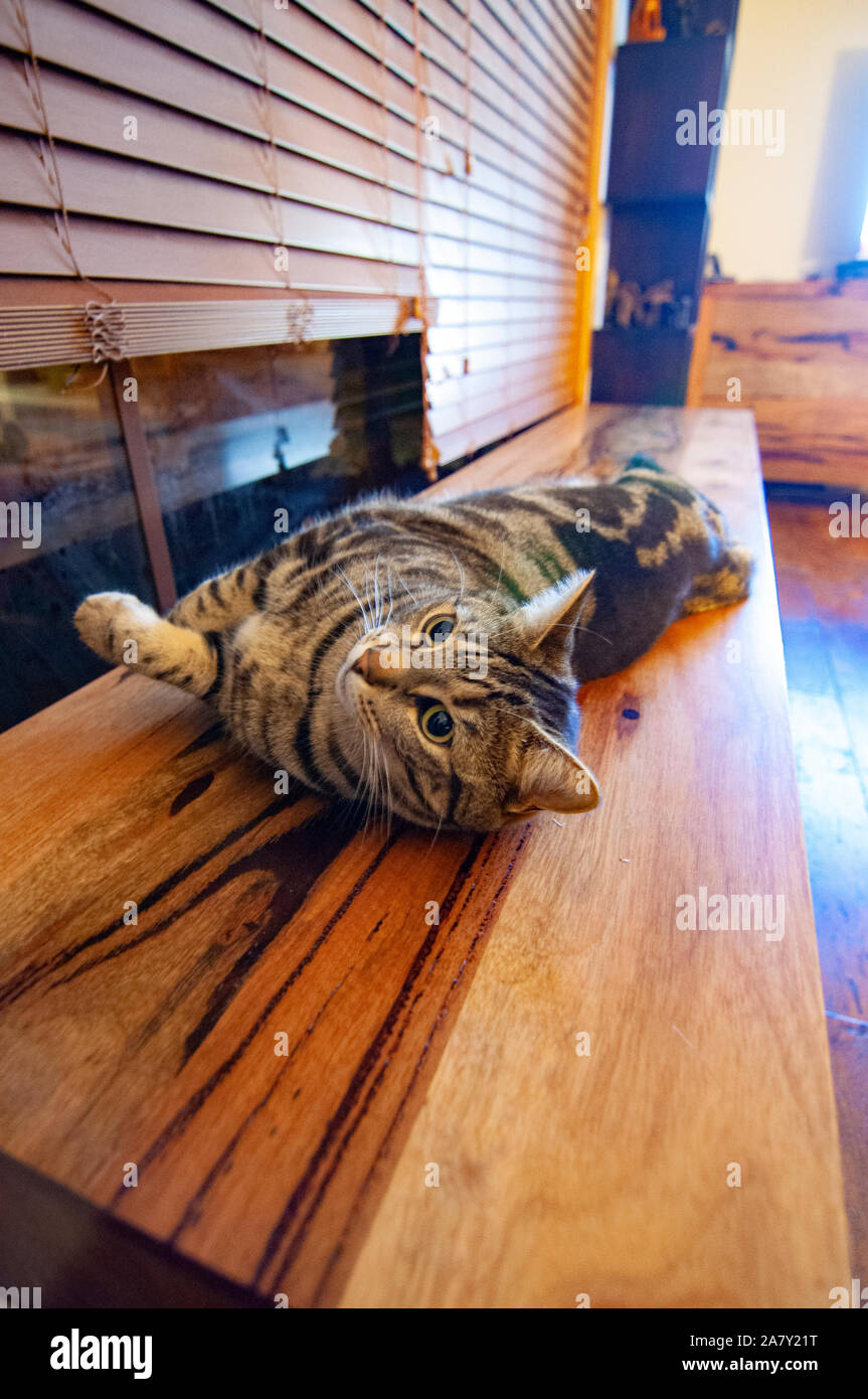 Furniture timber hi-res stock photography and images - Alamy
