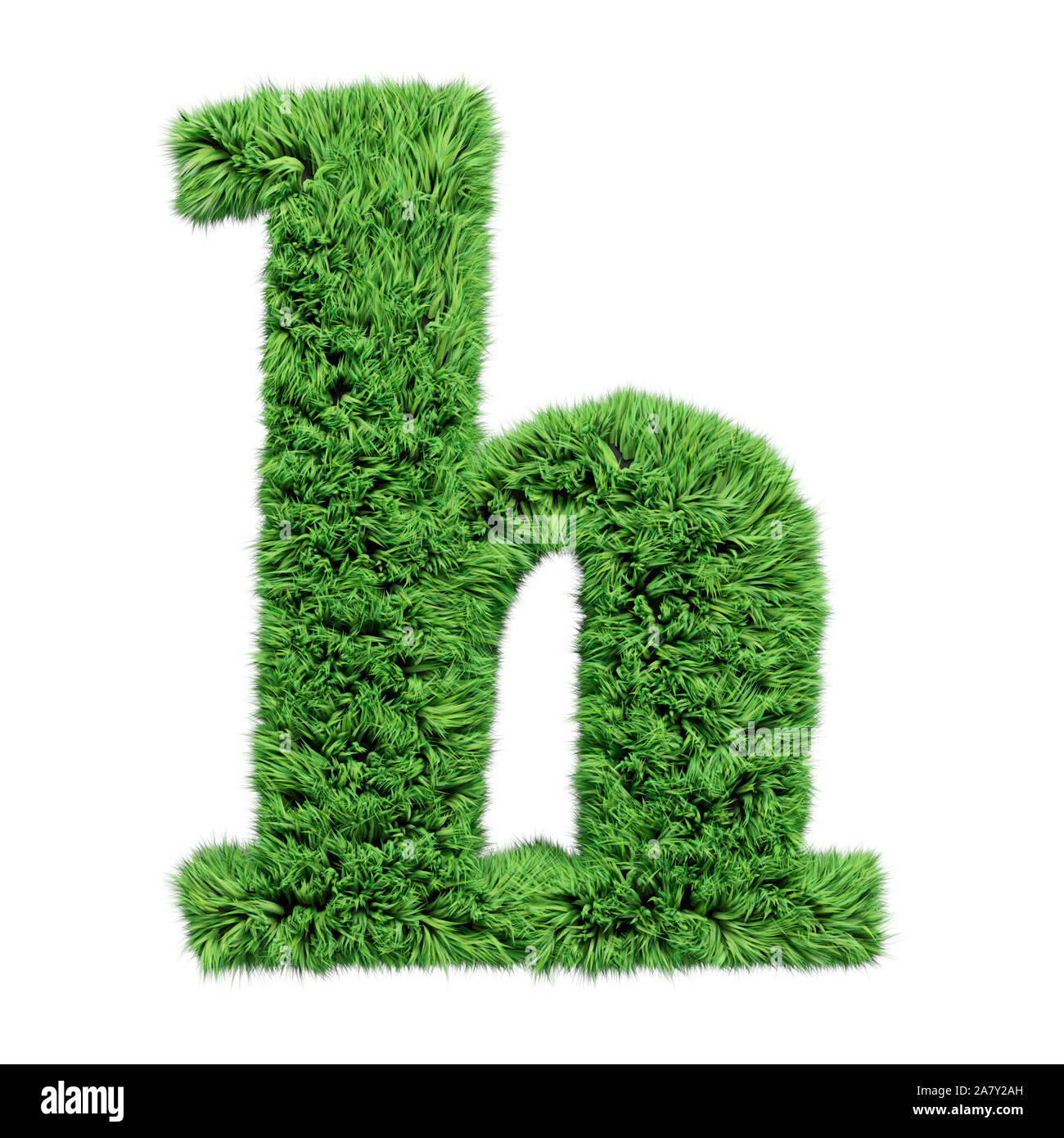 The Letter H In Nature
