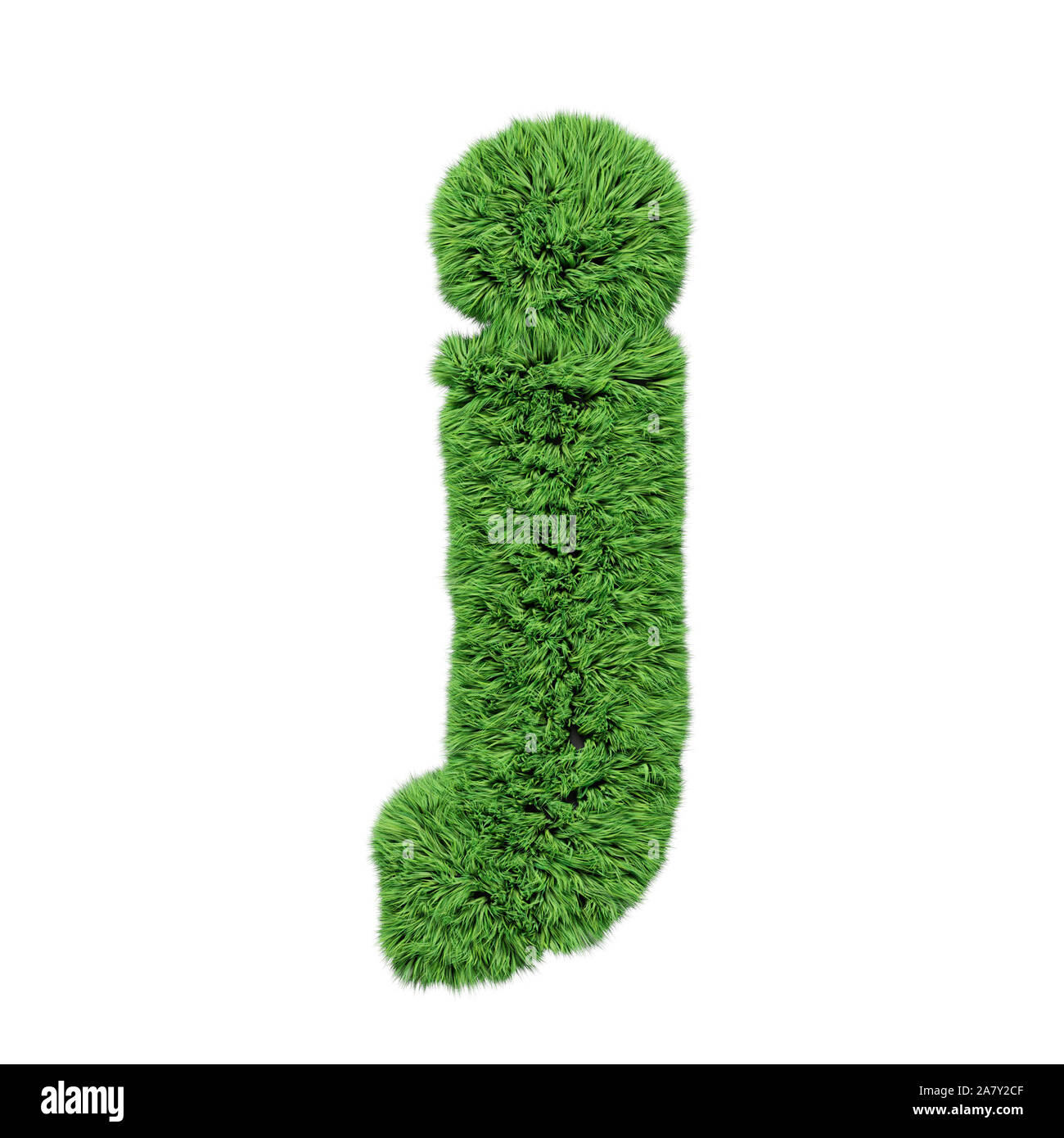 Letter J In Nature