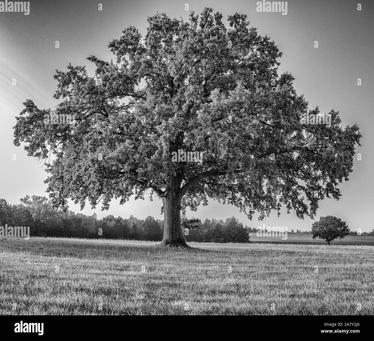 Autumn in germany old Black and White Stock Photos & Images - Alamy
