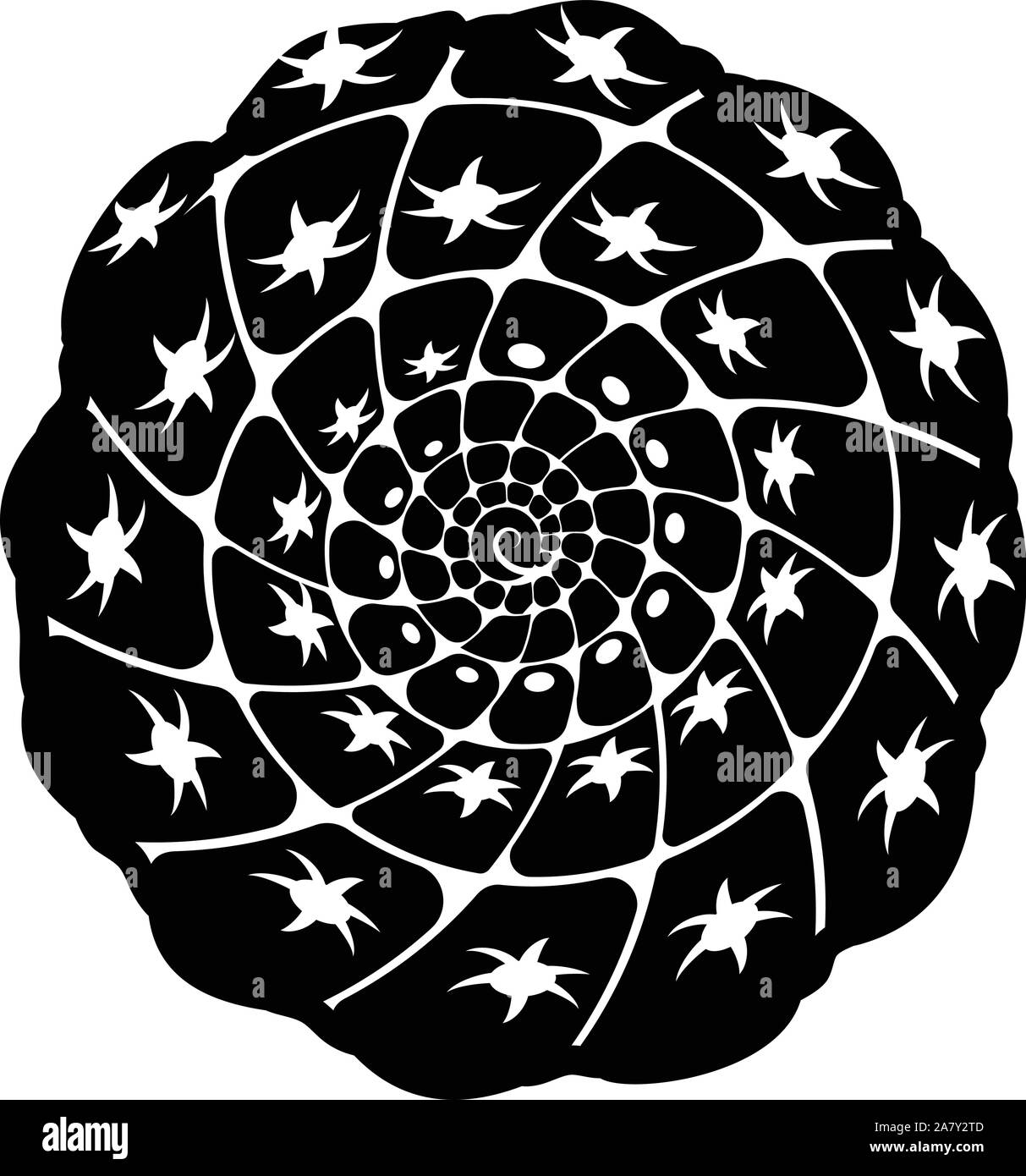 Simple top view image Black and White Stock Photos & Images - Alamy