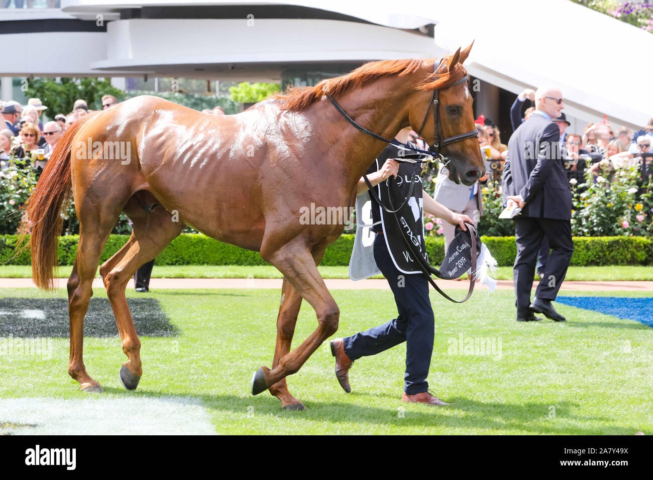 Melbourne Cup Horse Racing High Resolution Stock Photography and Images ...