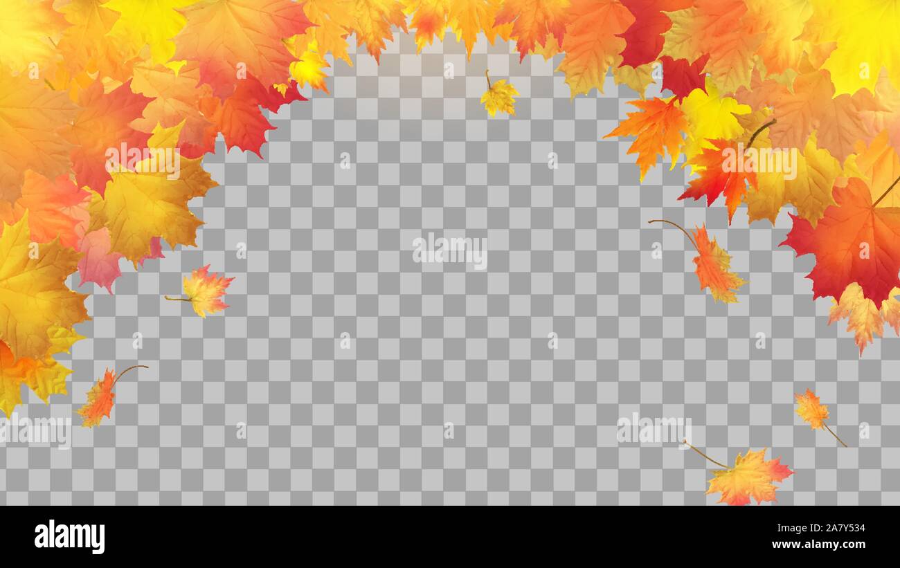 Falling leaves transparent background Stock Vector Images - Alamy