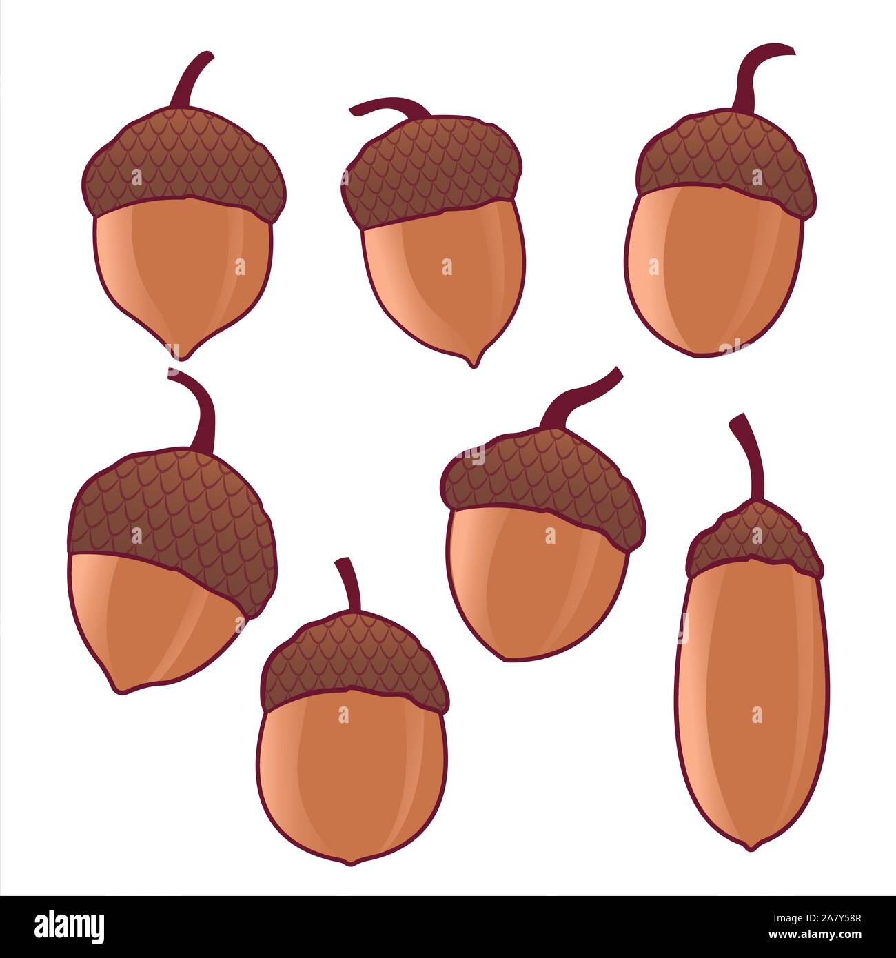 set of acorns vector illustration. oak fruit Stock Vector Image & Art ...