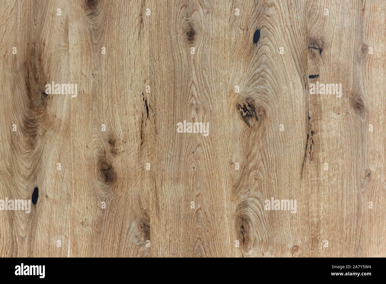 oak knotty wood texture Stock Photo - Alamy