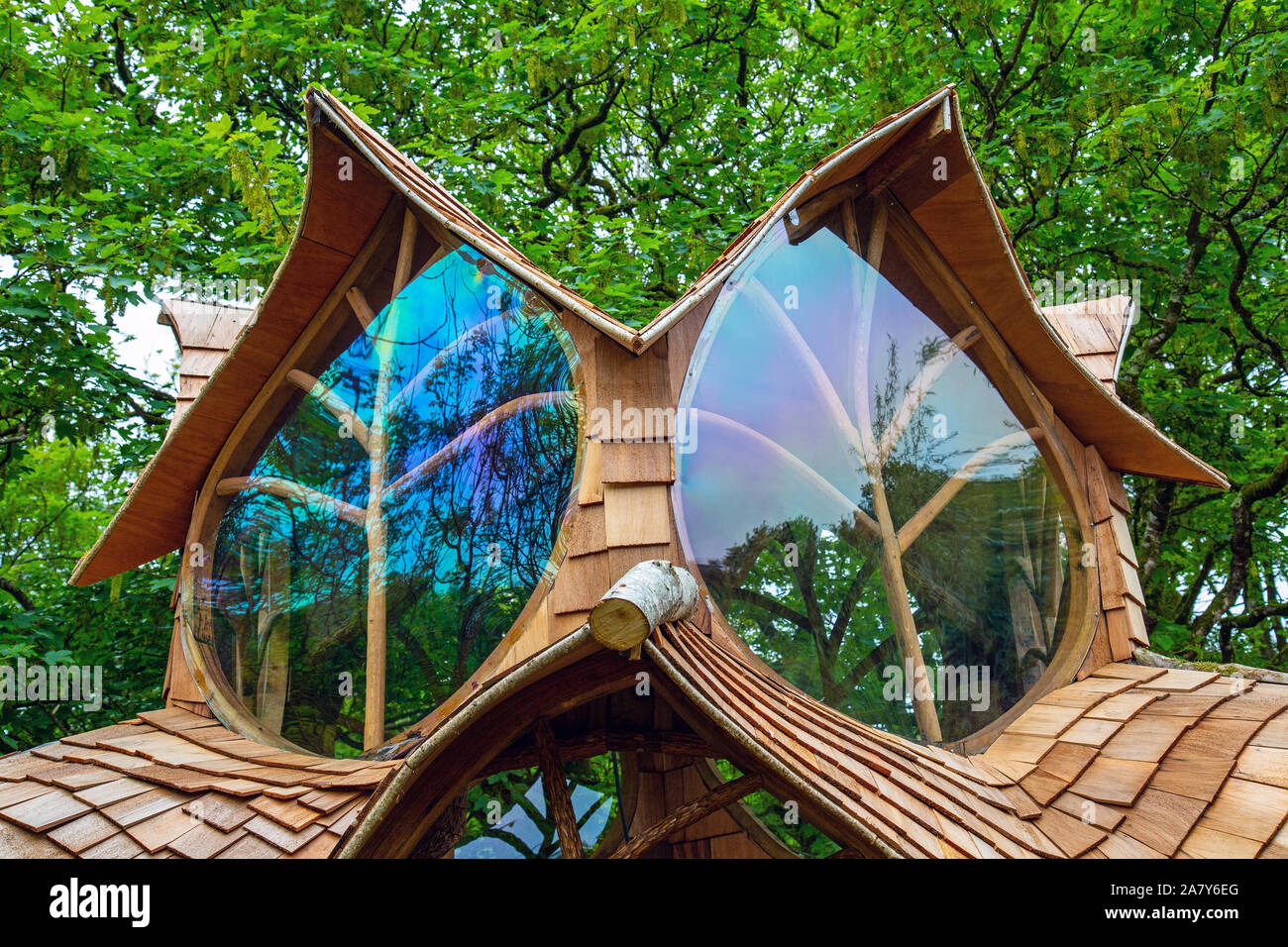 Eyes in windows hi-res stock photography and images - Alamy