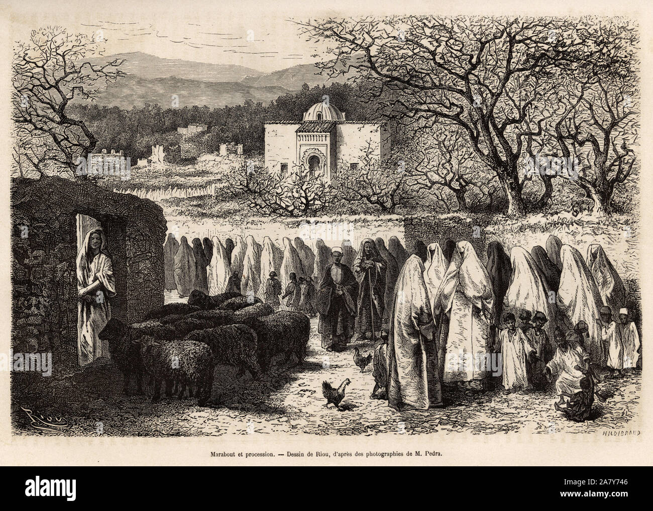 Procession jusqu'au marabout de Tlemcen ( tombeau a coupole d'une ...