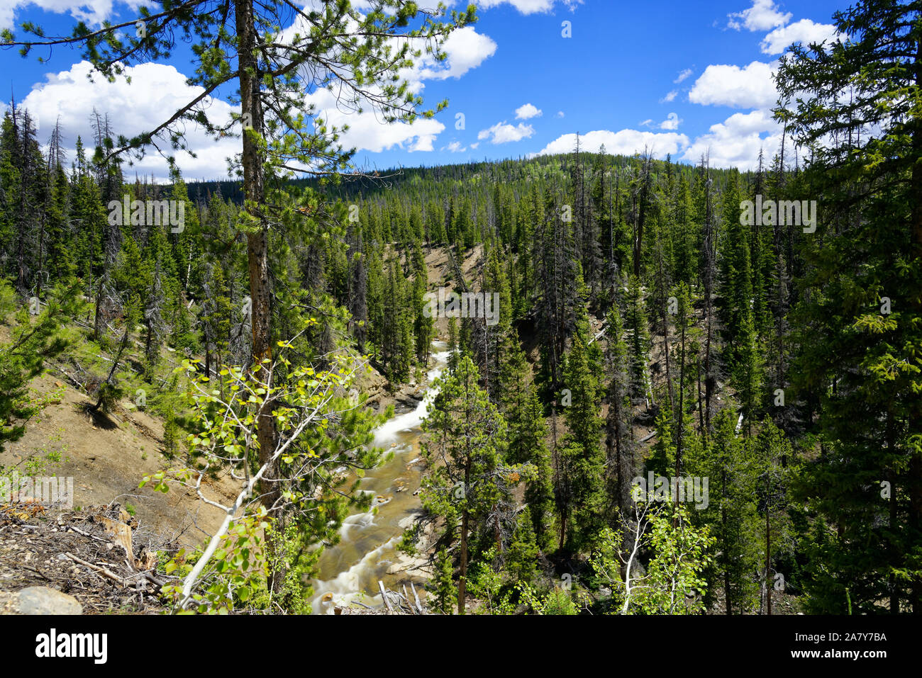 Provo river hi-res stock photography and images - Alamy