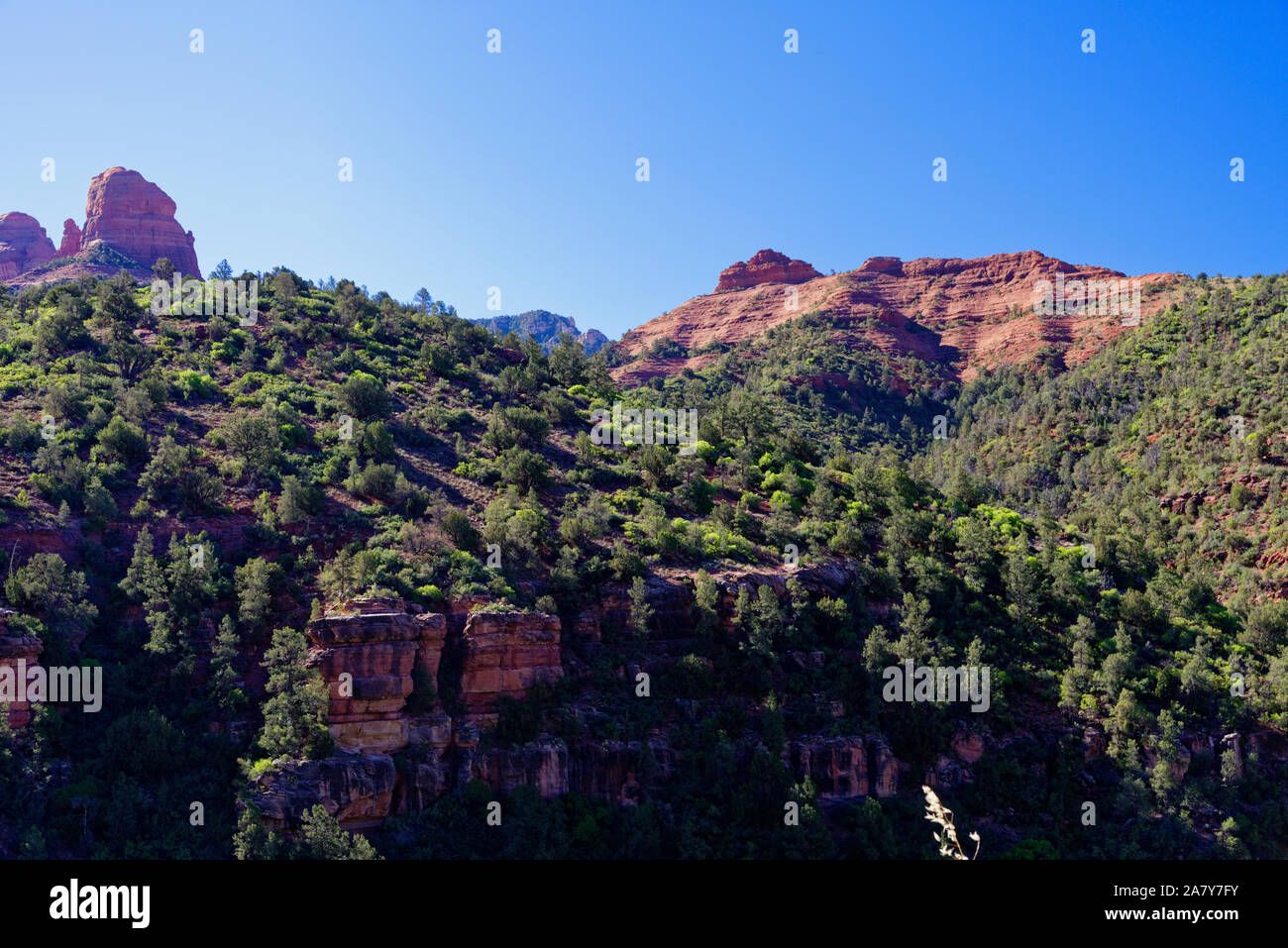 Scenery in Red Rock State Park, Arizona Stock Photo - Alamy