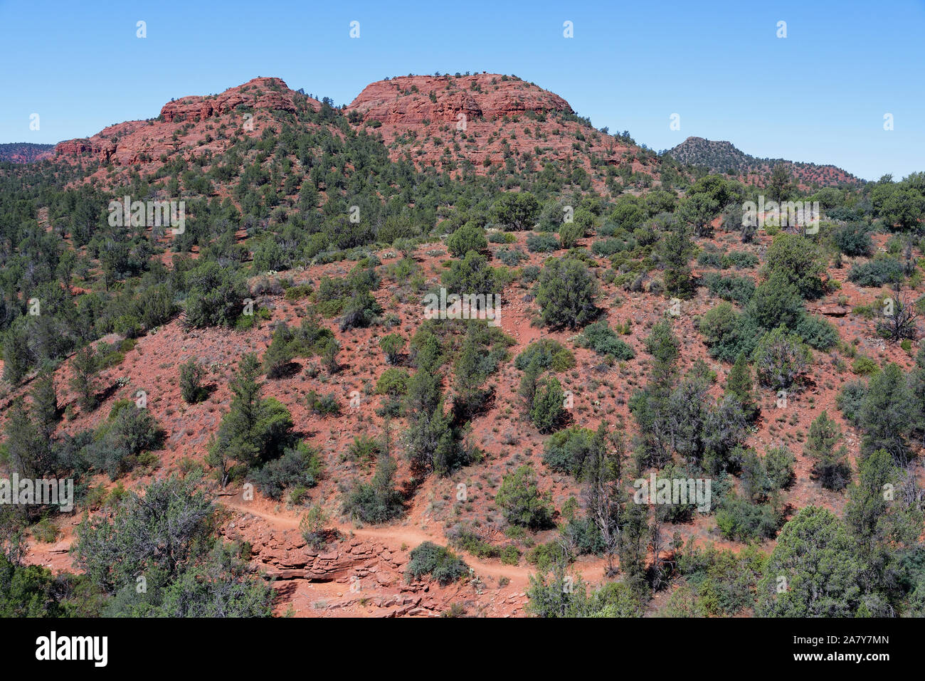 Red rock state park arizona hi-res stock photography and images - Alamy
