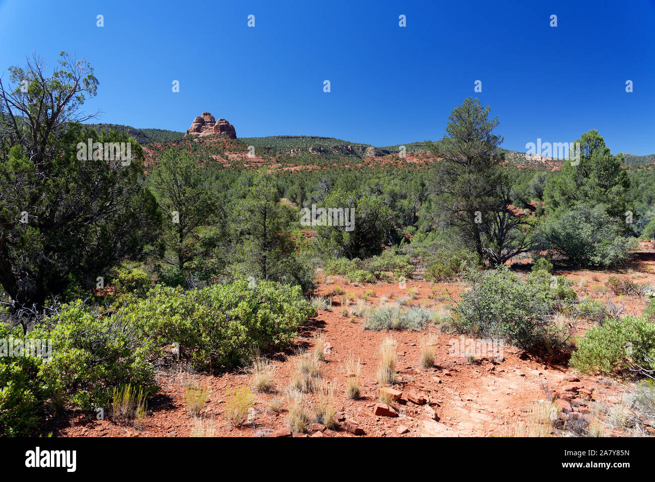 Red rock state park arizona hi-res stock photography and images - Alamy