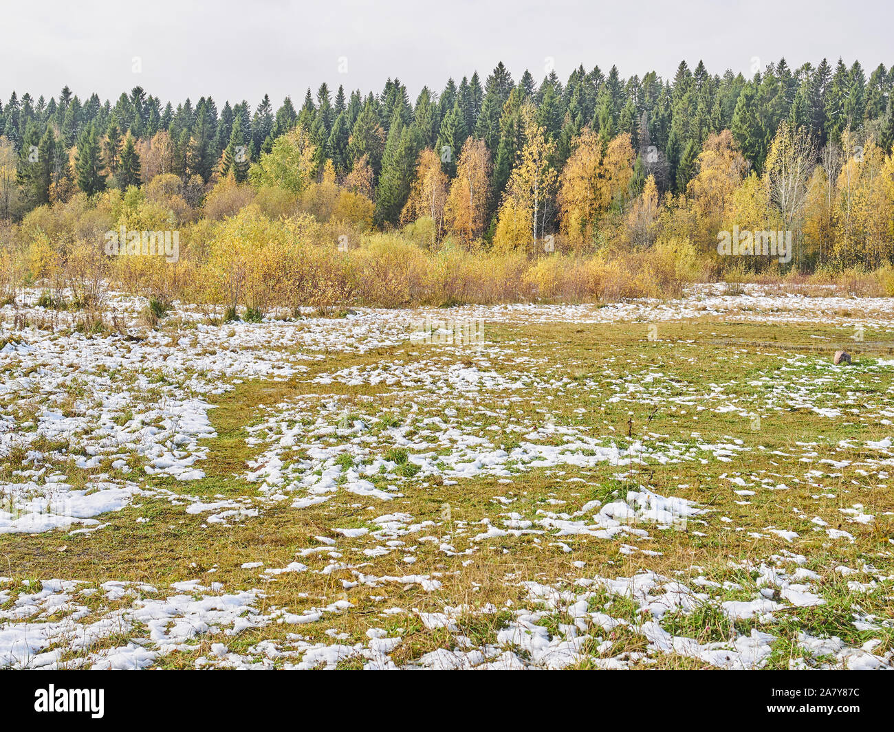 field in the forest. autumn Stock Photo - Alamy