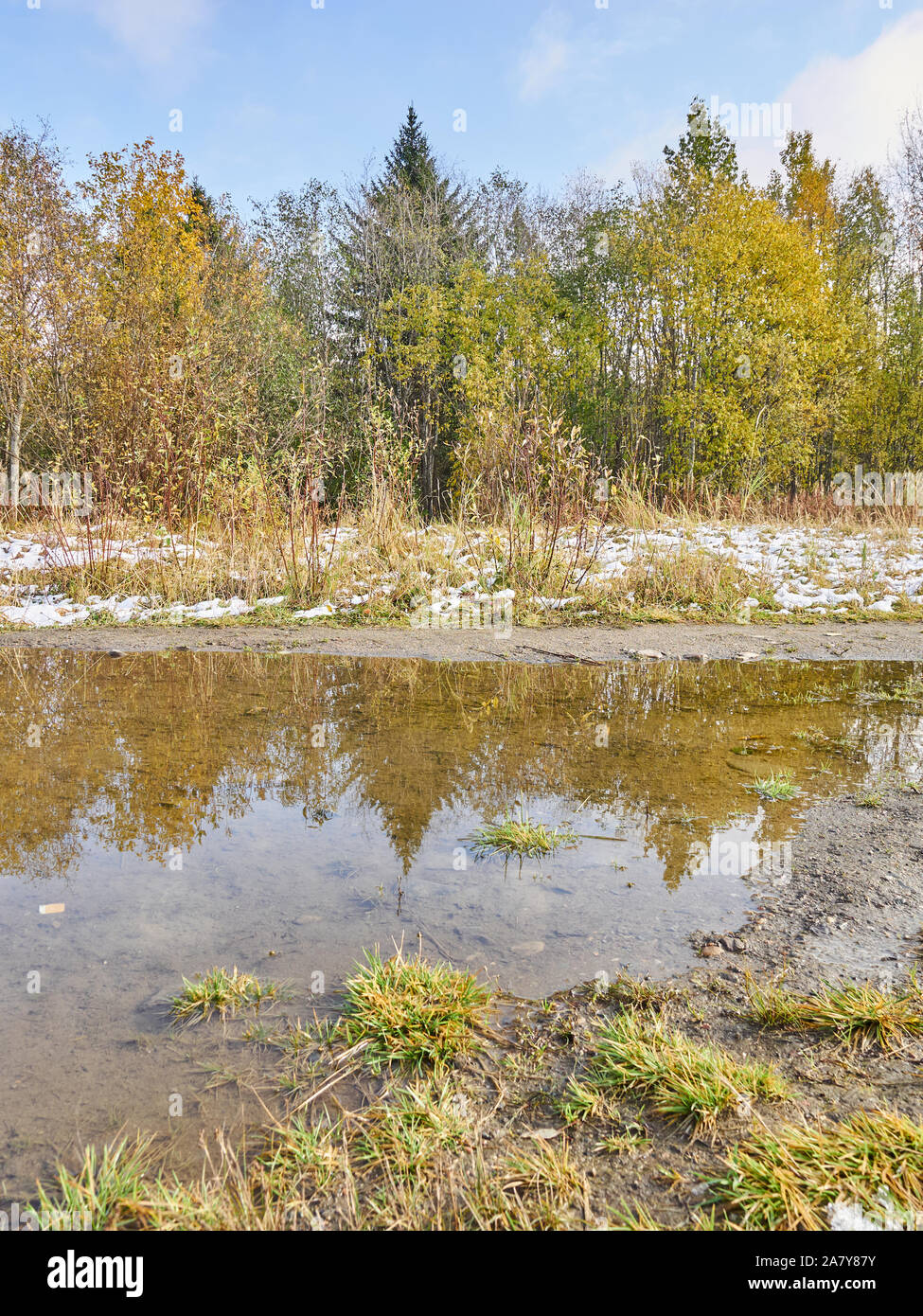 field in the forest. autumn Stock Photo - Alamy