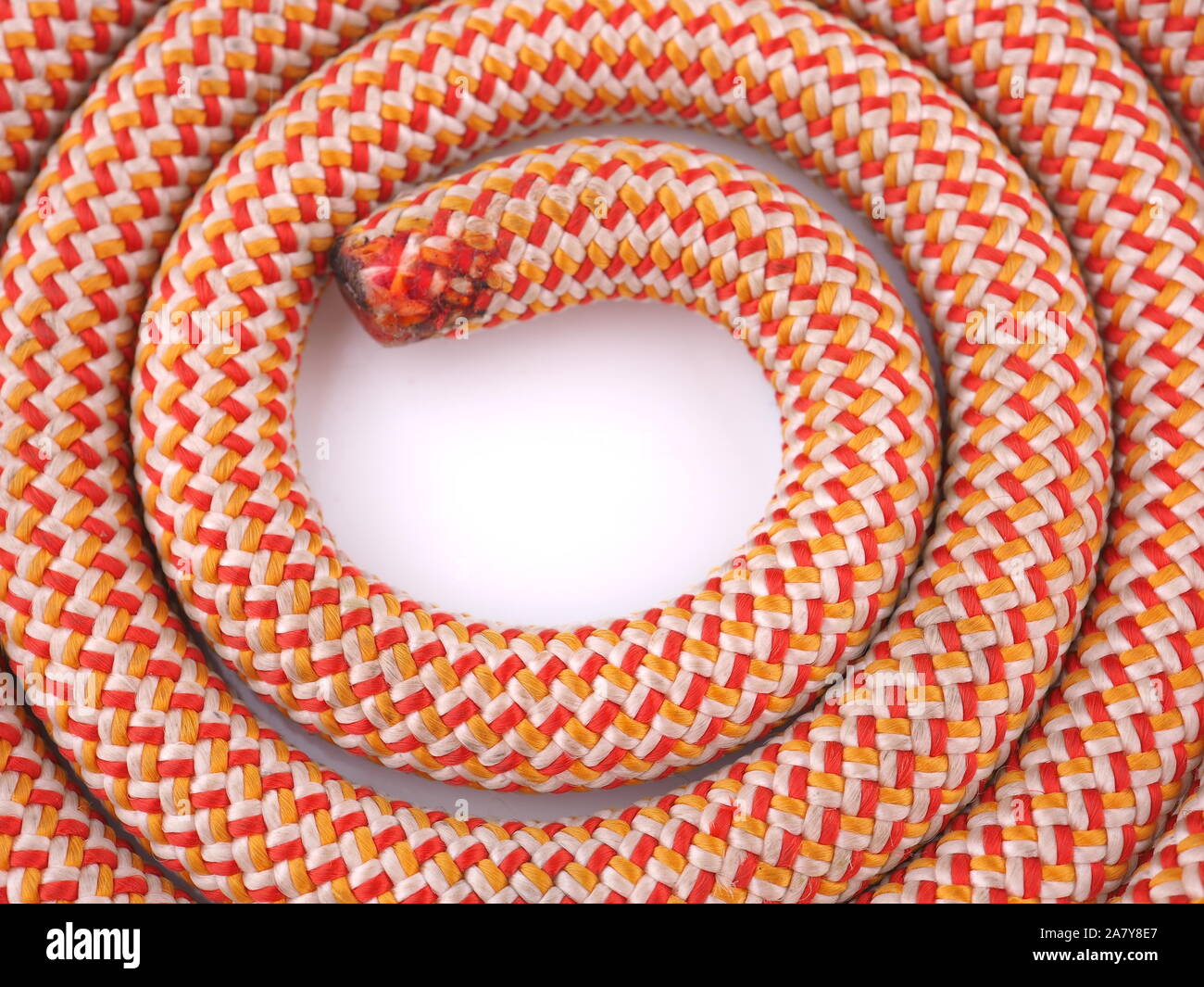climbing rope on white background Stock Photo - Alamy