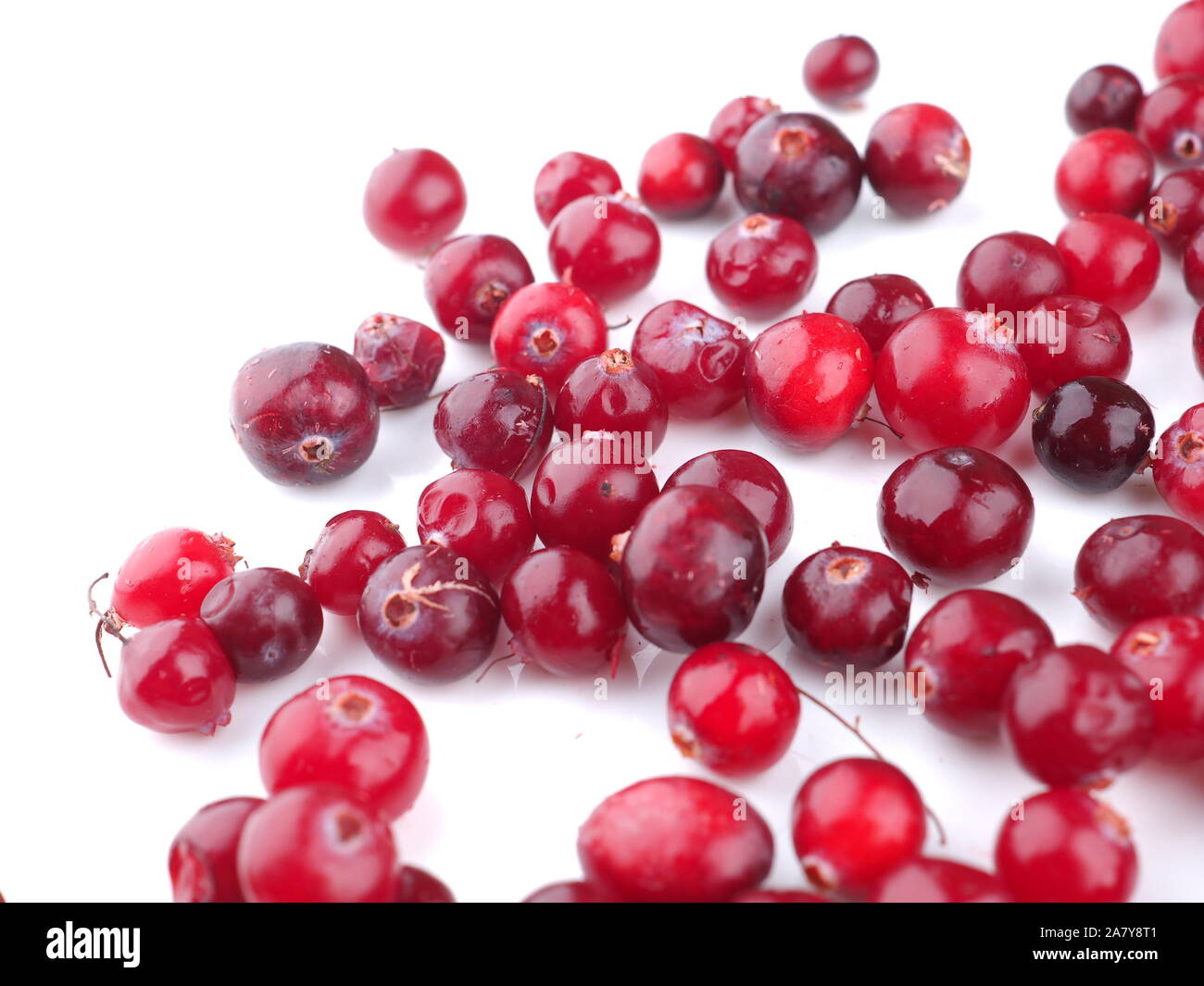 cranberries on a white background Stock Photo - Alamy