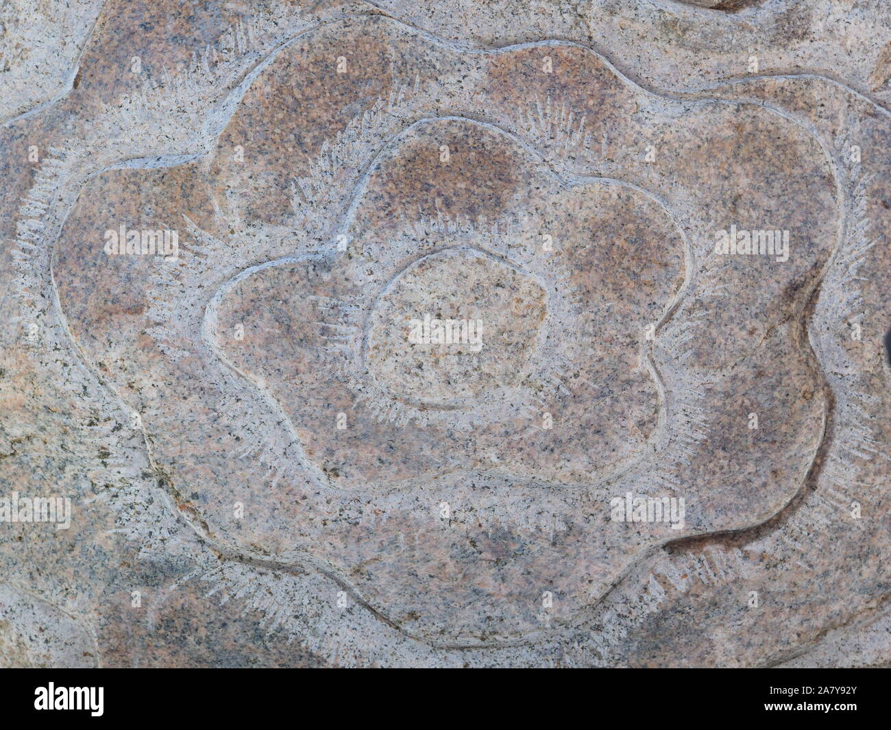 stone granite with notches. Russia Stock Photo - Alamy