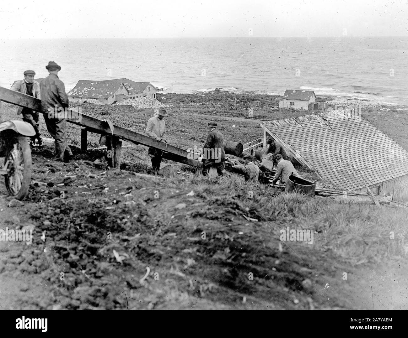 Salting meat archival hi-res stock photography and images - Alamy