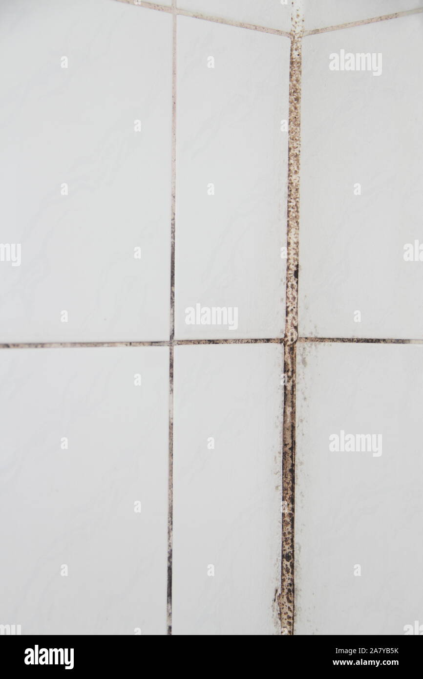 old moldy tiles in the bathroom Stock Photo - Alamy