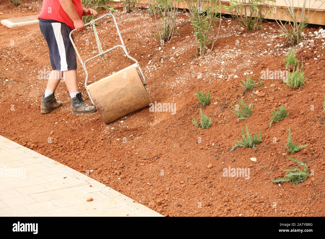 A man with a soil roller at work Stock Photo - Alamy