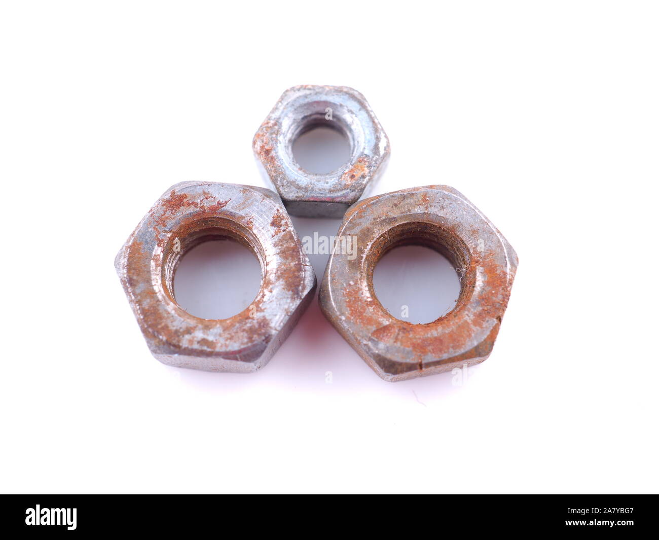 nut on white background Stock Photo - Alamy