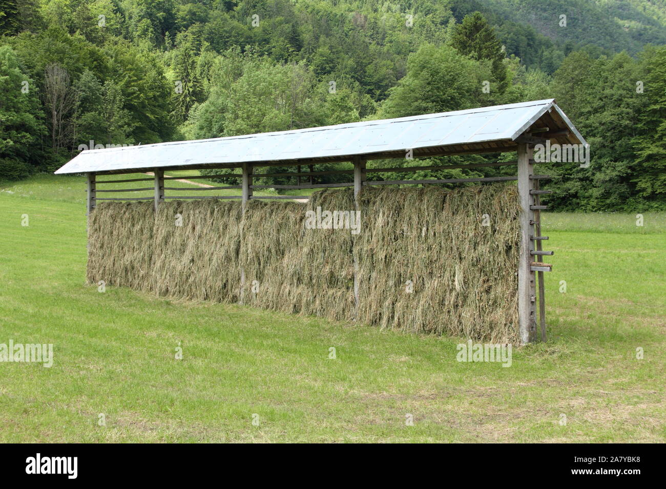 Hay hung to dry hi-res stock photography and images - Alamy