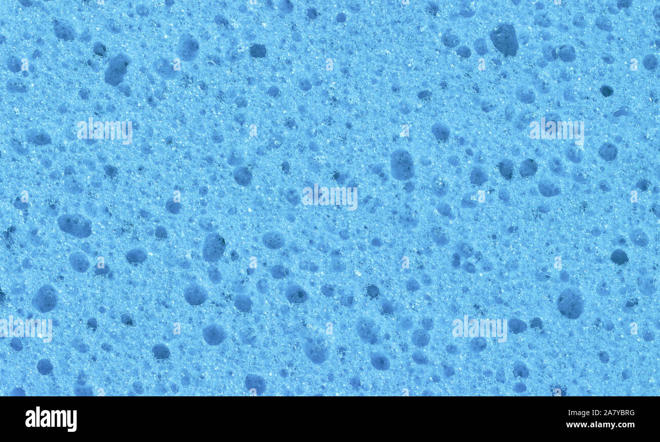 Stock sponge hi-res stock photography and images - Alamy
