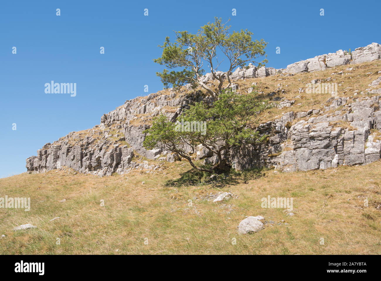Winskill stones north yorkshire hi-res stock photography and images - Alamy