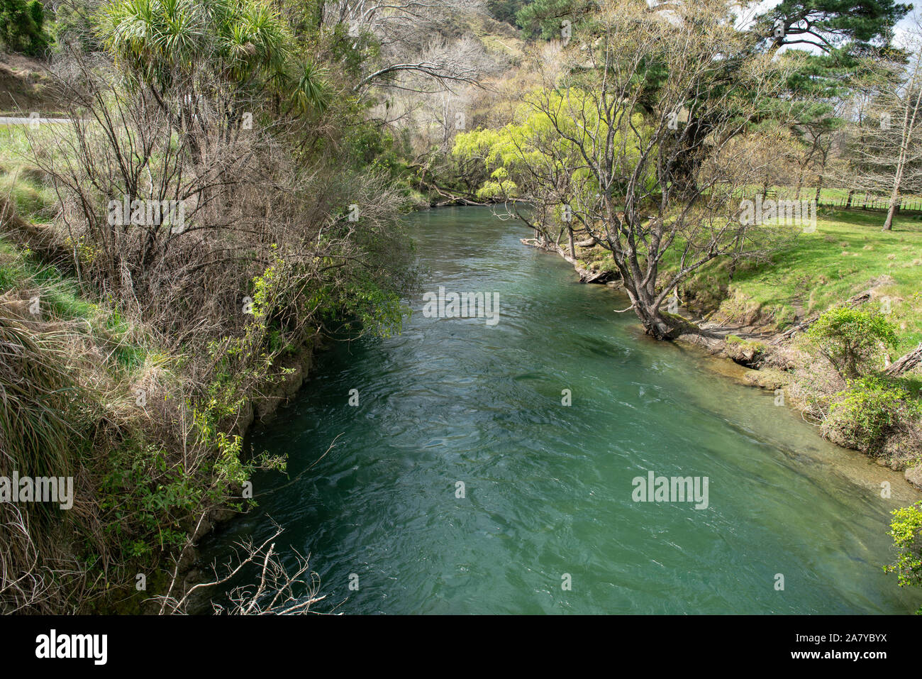 Clean clear green river with tree lined river banks Stock Photo - Alamy