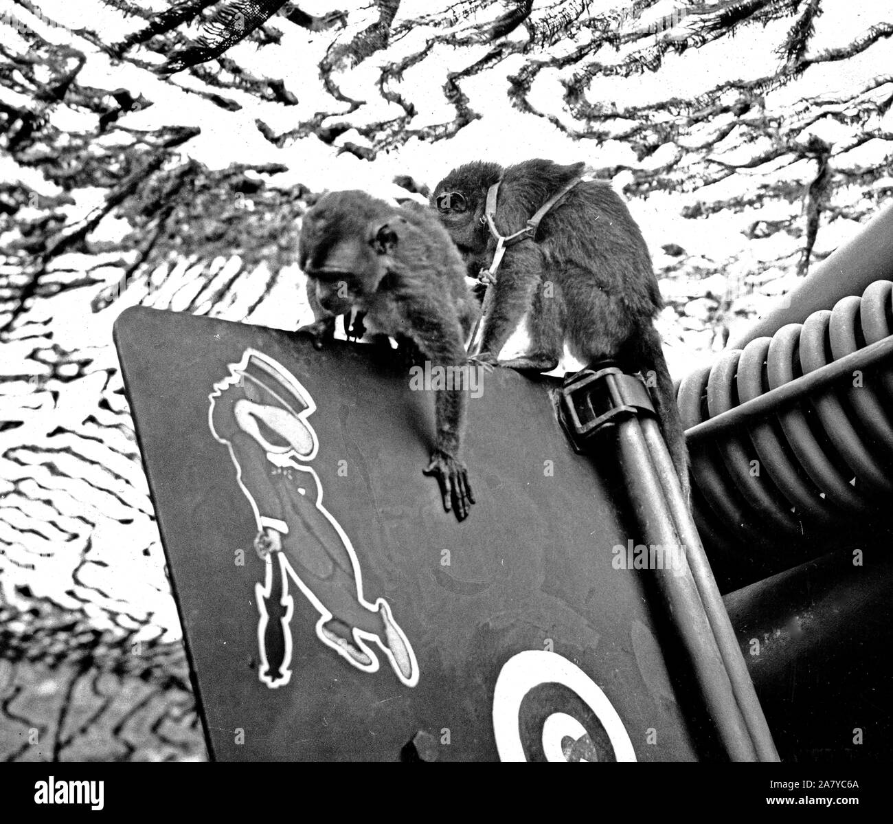 Monkey mascots marine artillery group Black and White Stock Photos ...