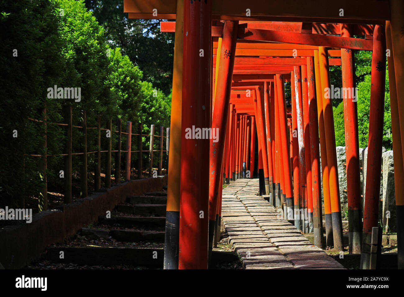 A shrine approach made up of many vibrant scarlet torii gates Stock ...