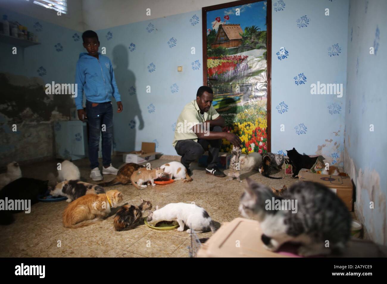 Gaza City, The Gaza Strip, Palestine. 4th Nov, 2019. Saeed el Aer ...