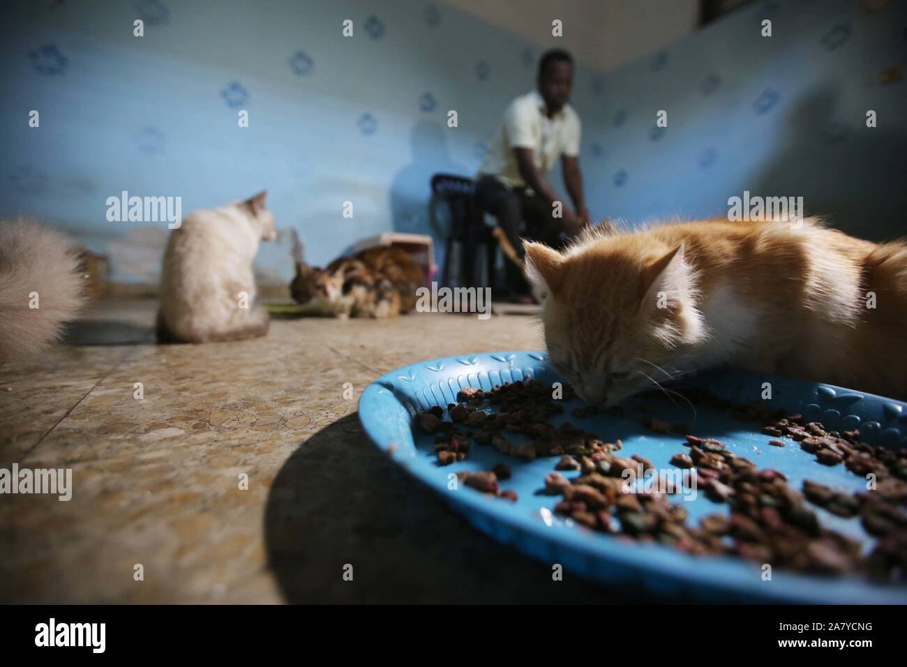 Sulala society hi-res stock photography and images - Alamy