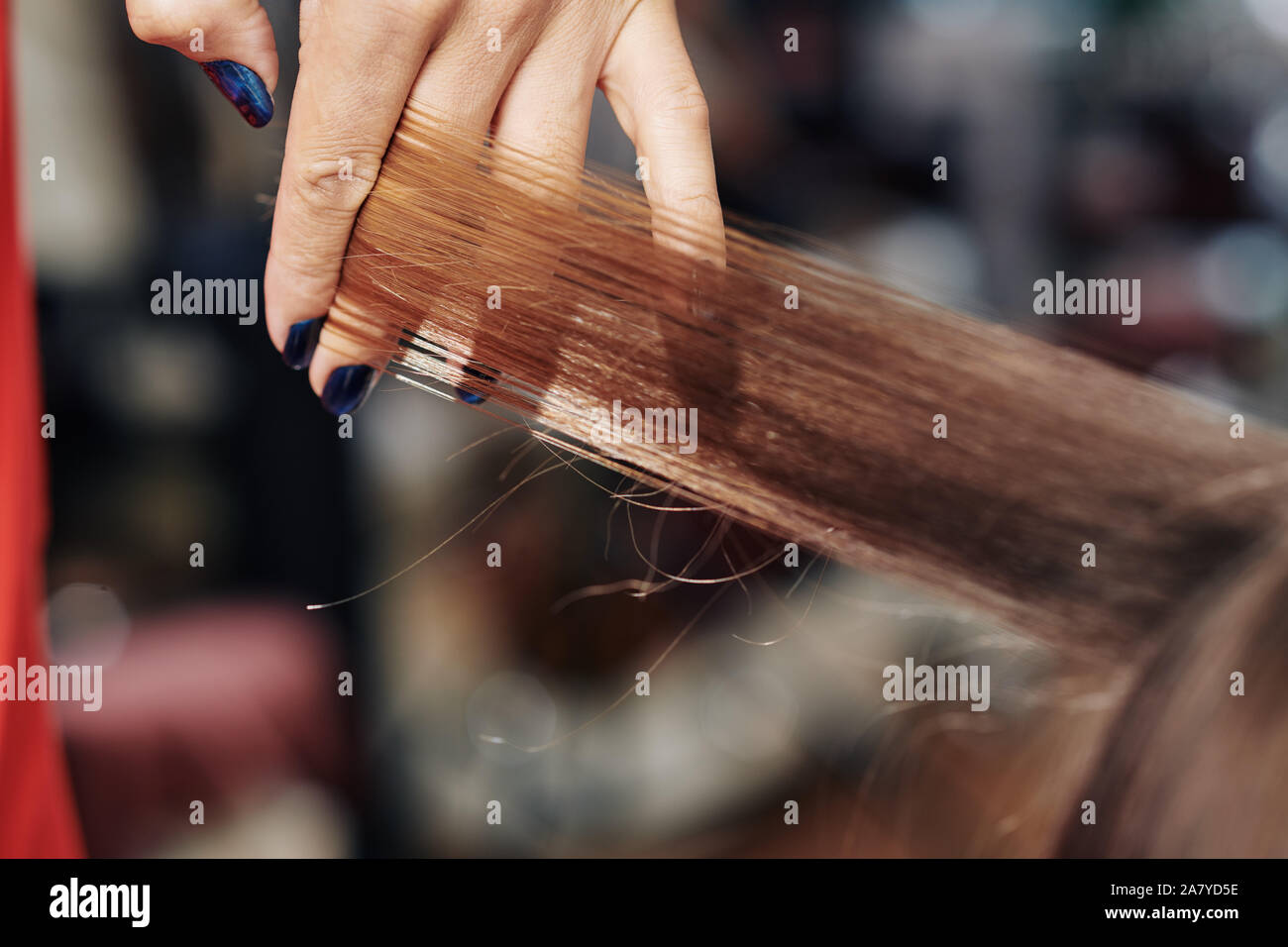 Hairdresser taking hair section of female client to cut the split ends ...
