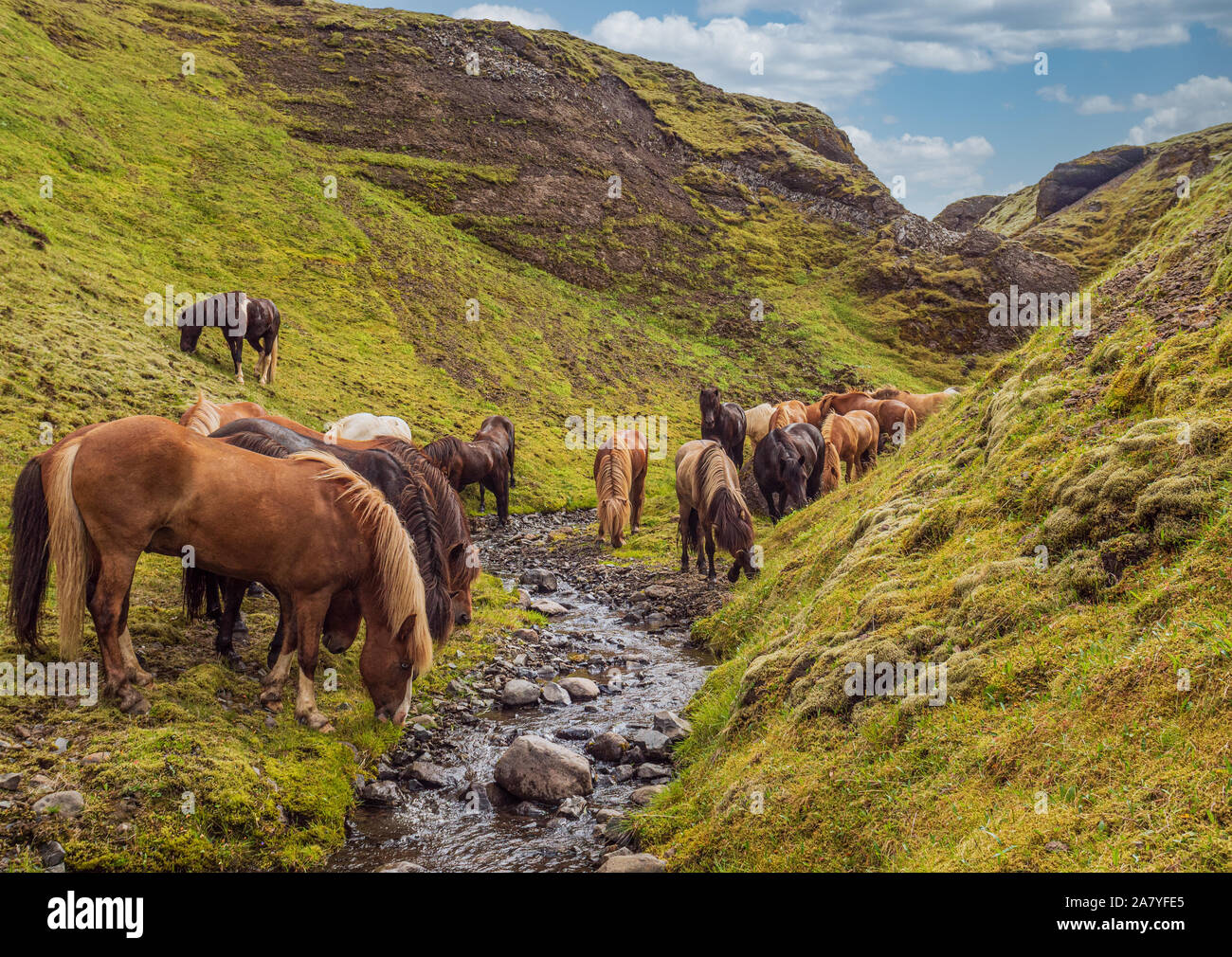 Iceland icelandic landscape nature hi-res stock photography and images ...