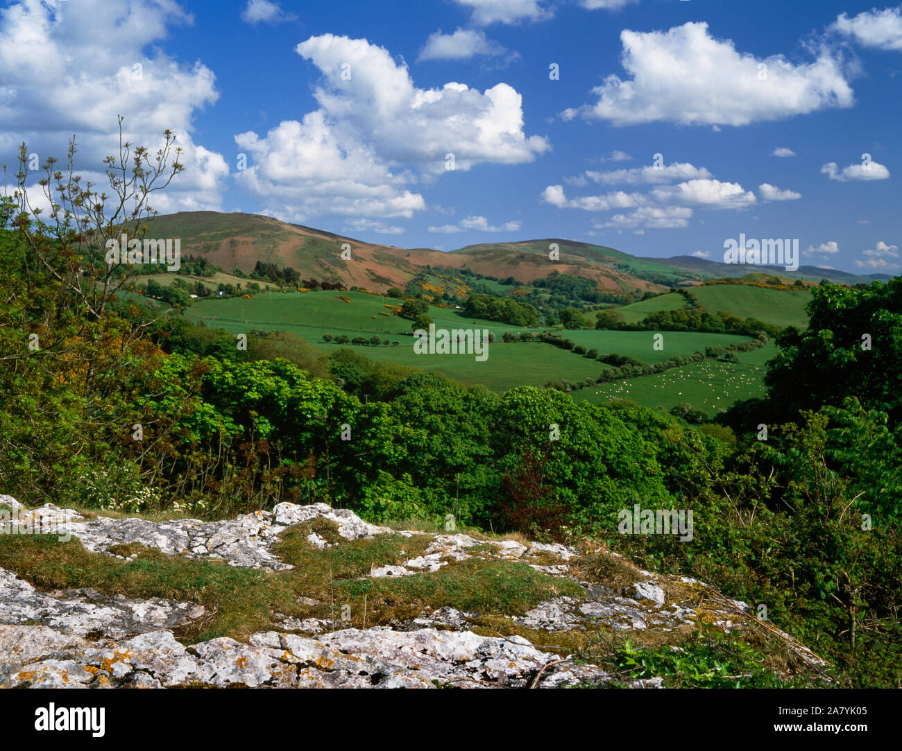 Graig nature reserve hi-res stock photography and images - Alamy