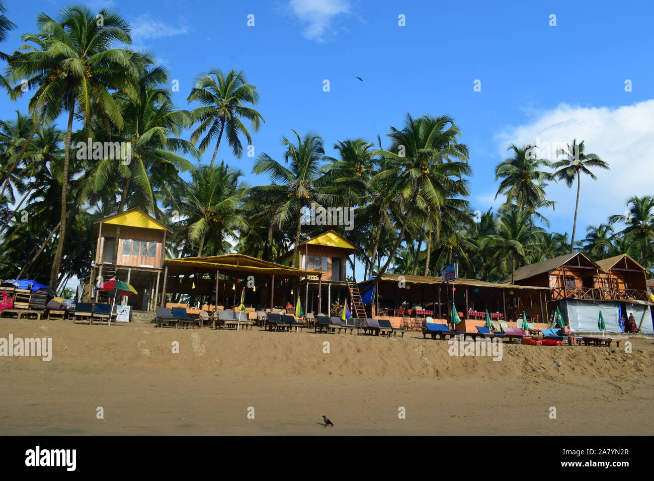 Palolem Beach in Goa, India Stock Photo - Alamy