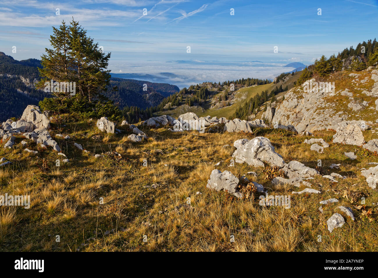 Chartreuse mountain range hi-res stock photography and images - Alamy