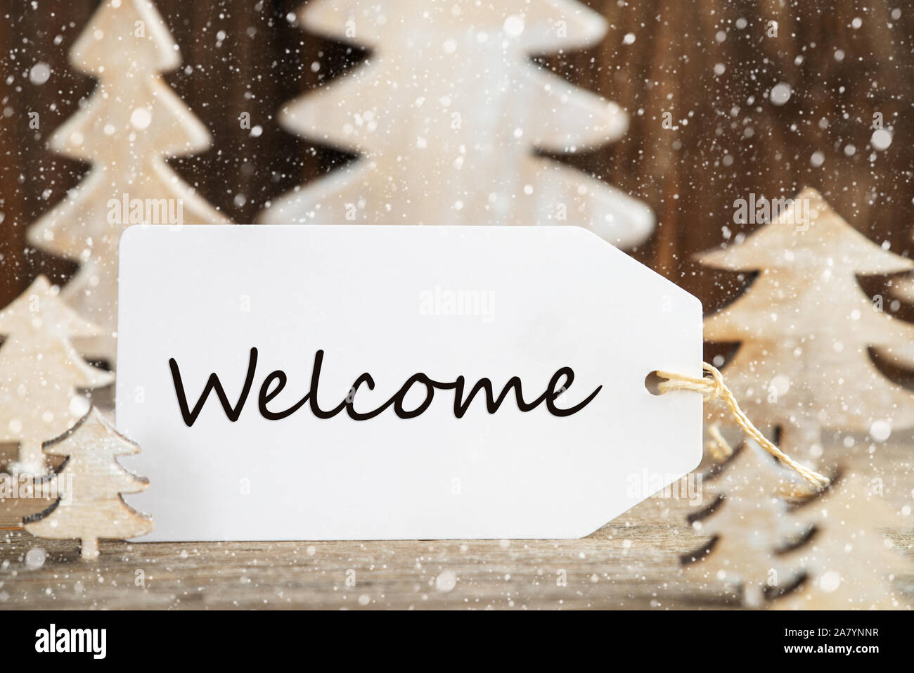 Christmas Tree, Label With English Text Welcome, Snowflakes Stock Photo ...