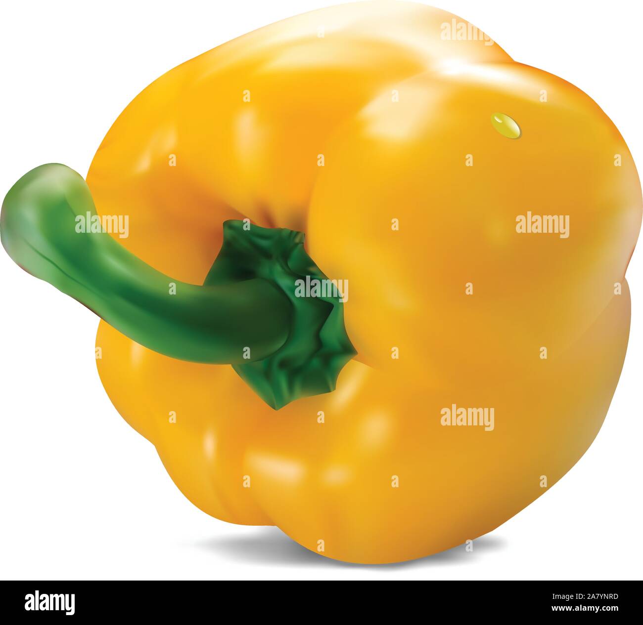 Paprica vector vectors hi-res stock photography and images - Alamy