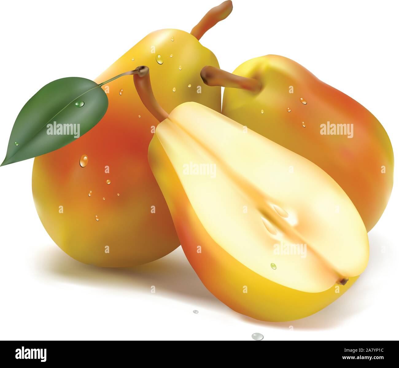 Half yellow pears on Stock Vector Images - Alamy