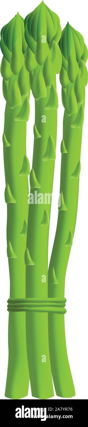Vector image of asparagus, isolated Stock Vector Image & Art - Alamy
