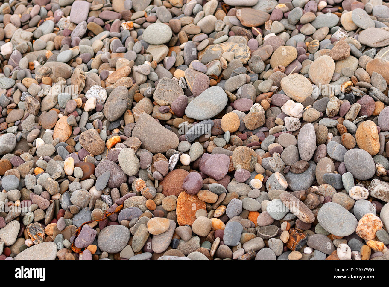 Smooth stones texture background. Rounded stones on Atlantic ocean ...