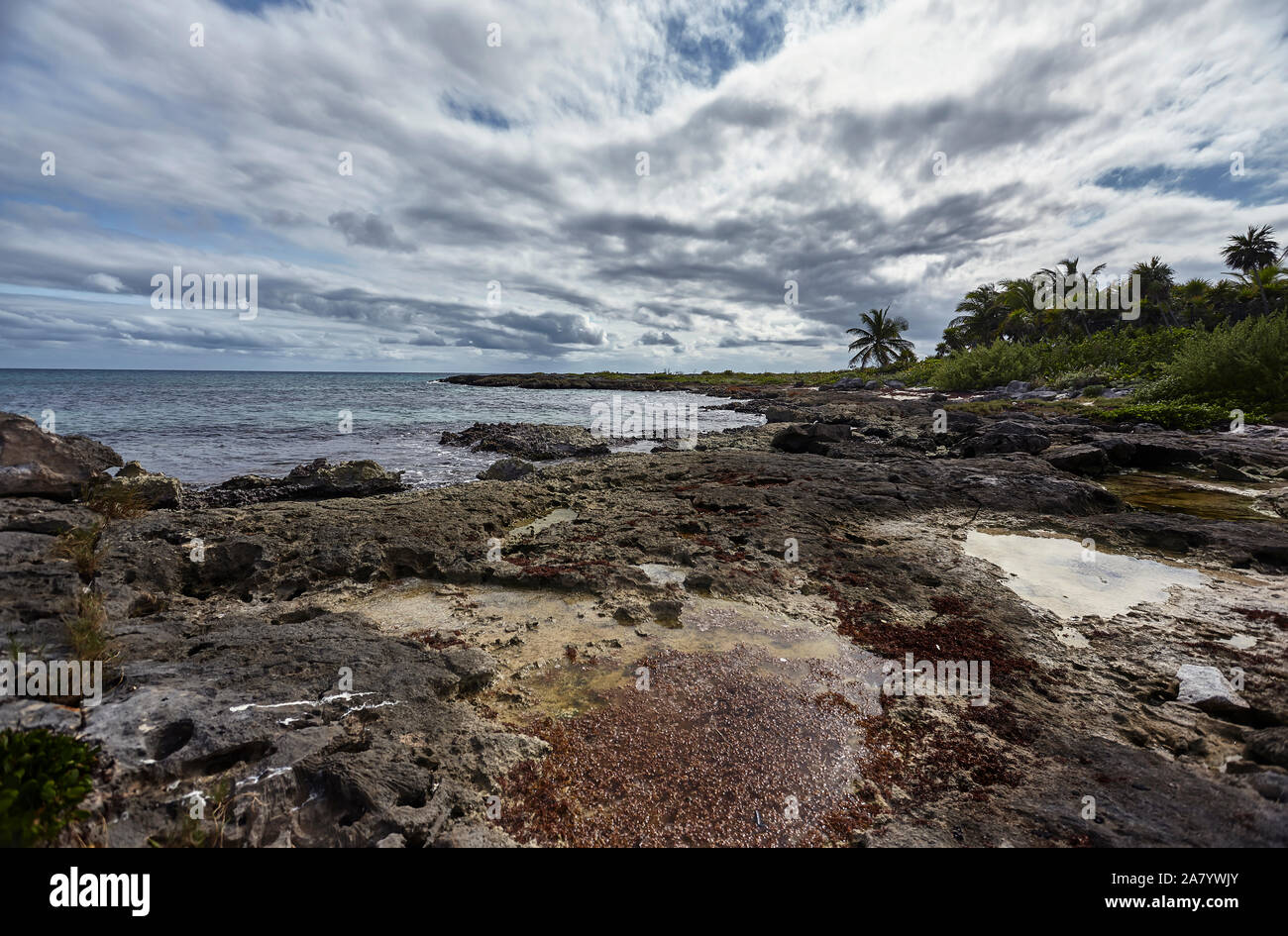 Beach of Rocks in Mexico Stock Photo - Alamy