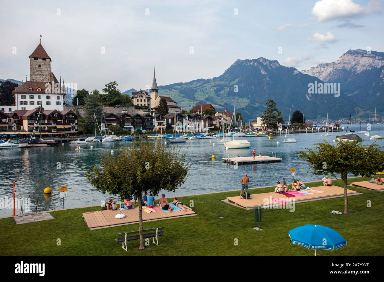 Spiez castle and port viewed from the lake beach. Thun lake ...