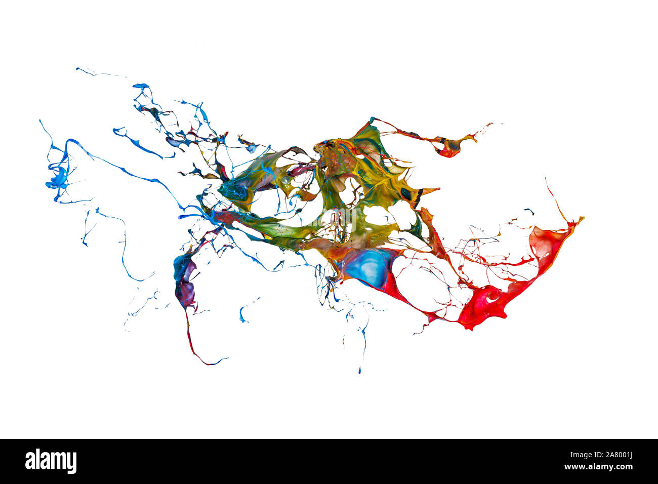 abstract color splash or explosion of colored paints isolated on white ...