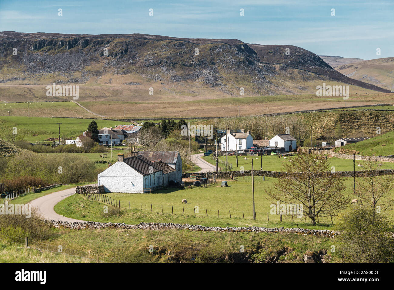 Spring morning at the remote farming hamlet of Langdon Beck, Upper ...